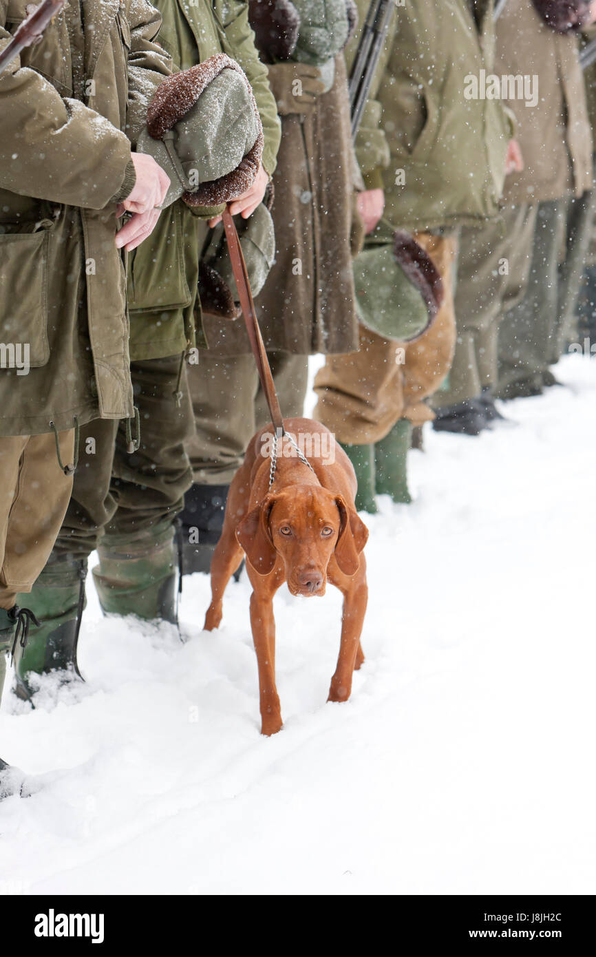 Dog chase man hi-res stock photography and images - Alamy