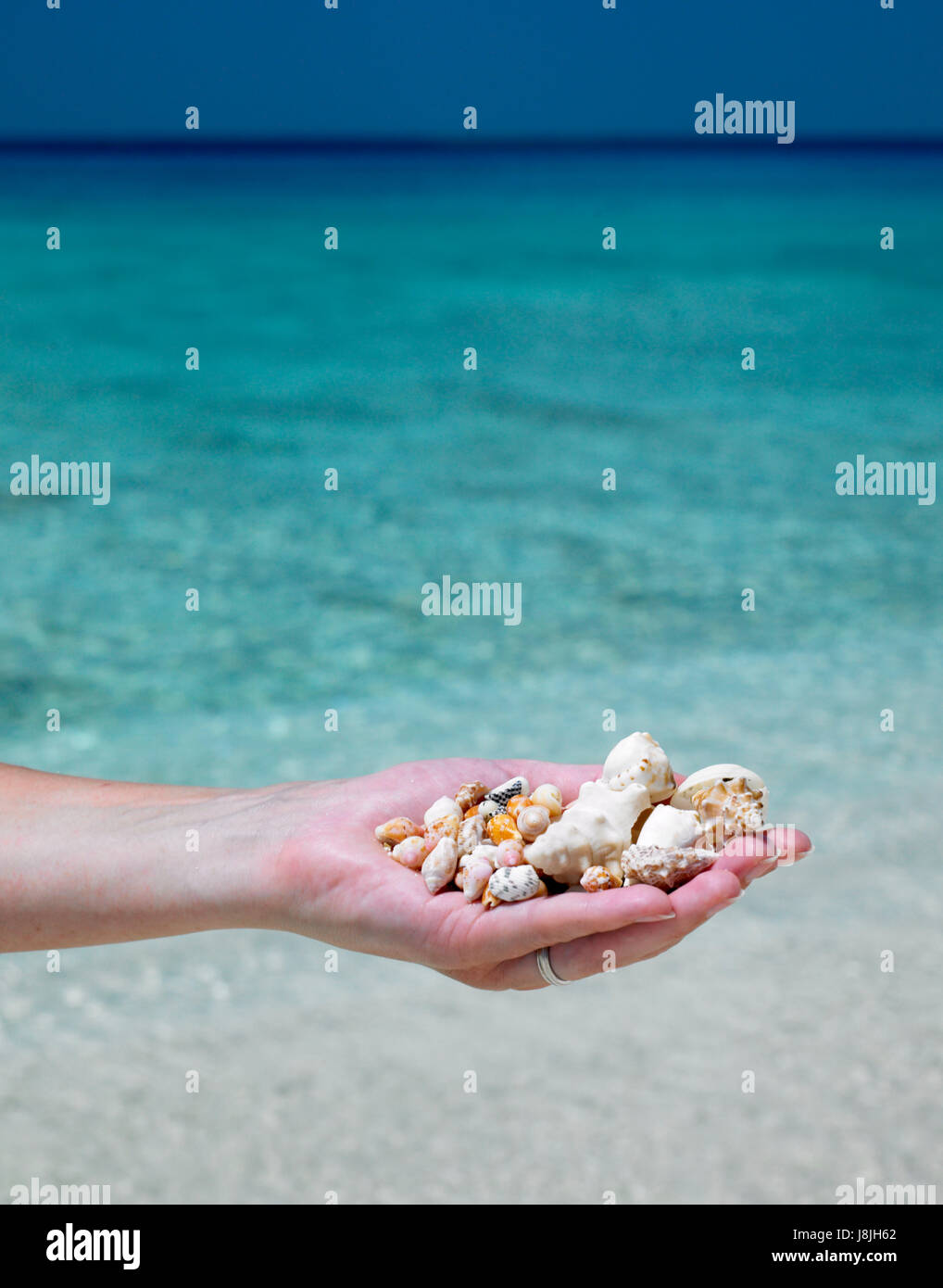 beach, seaside, the beach, seashore, cuba, hand, hands, travel, detail ...