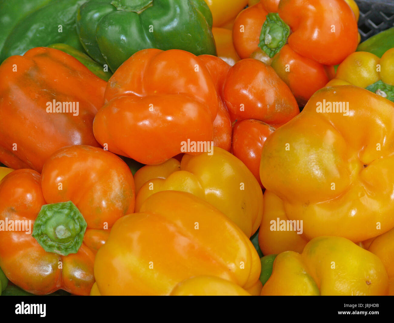 green, coloured, colourful, gorgeous, multifarious, richly coloured ...