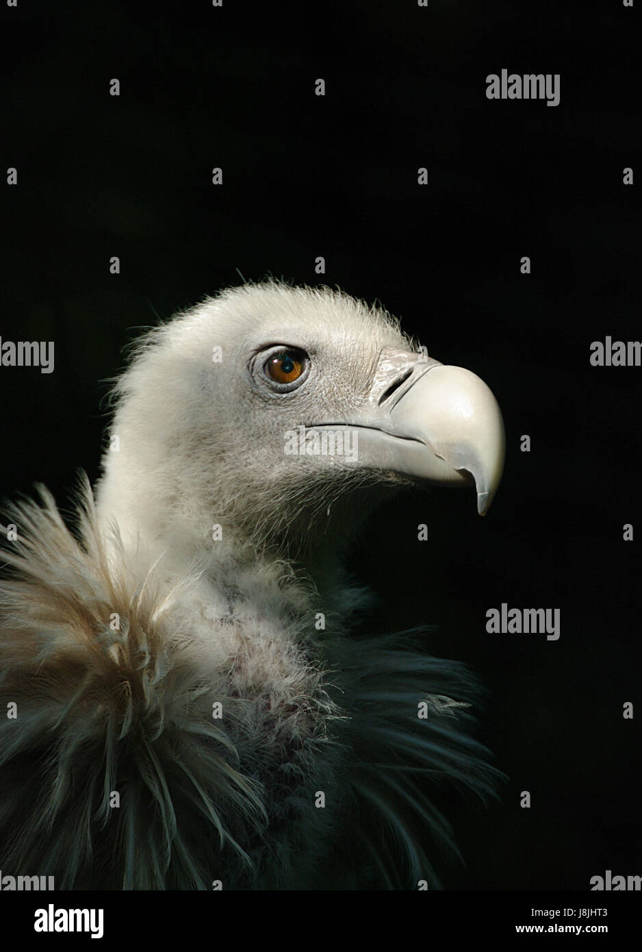 God knows hi-res stock photography and images - Alamy