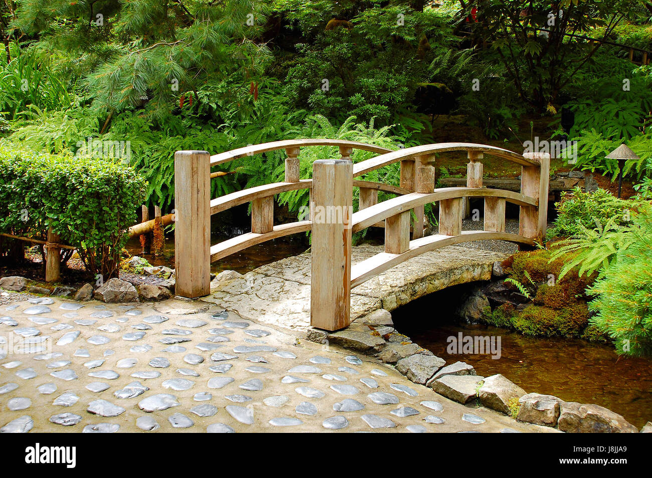 Little wooden bridge over garden stream Stock Photo - Alamy