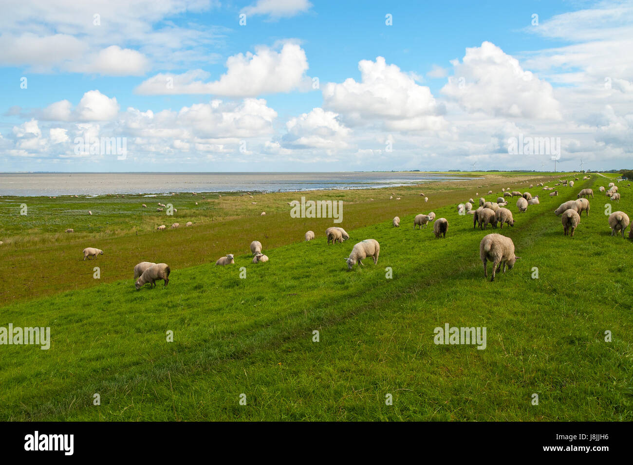 water, north sea, salt water, sea, ocean, East Frisia, Northern Germany ...