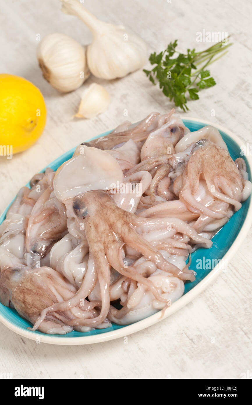 food, aliment, animal, gastronomy, diet, octopus, backdrop, background ...