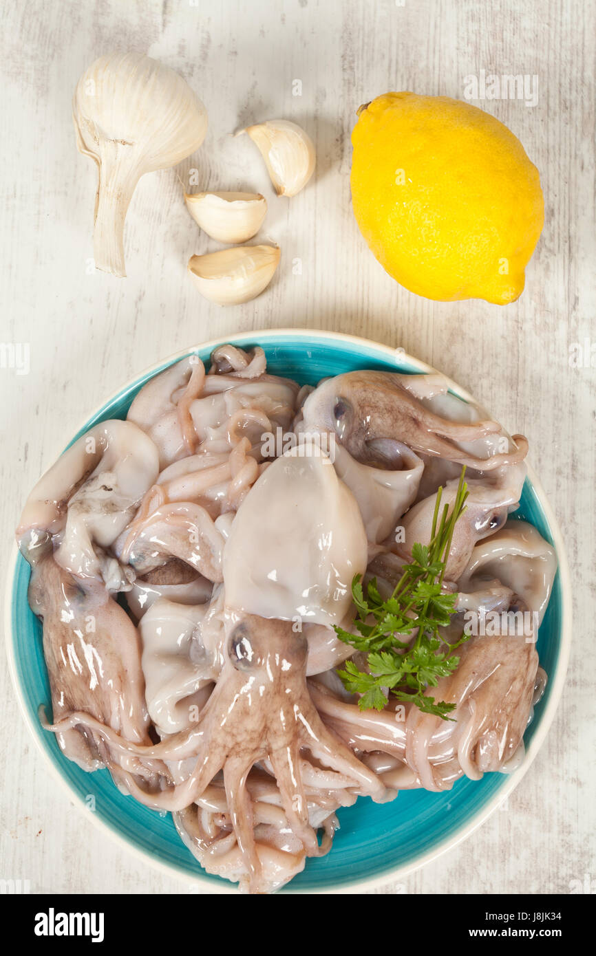 food, aliment, animal, gastronomy, diet, octopus, backdrop, background ...