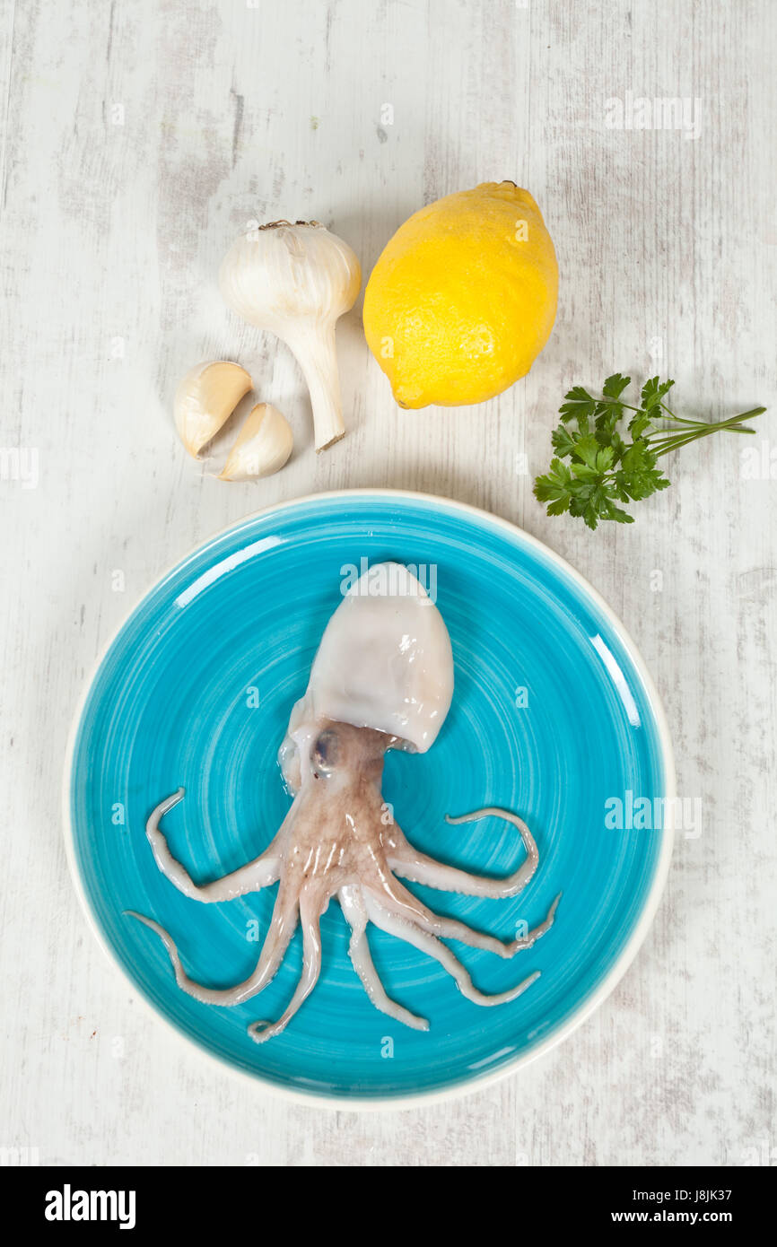food, aliment, animal, gastronomy, diet, octopus, backdrop, background ...