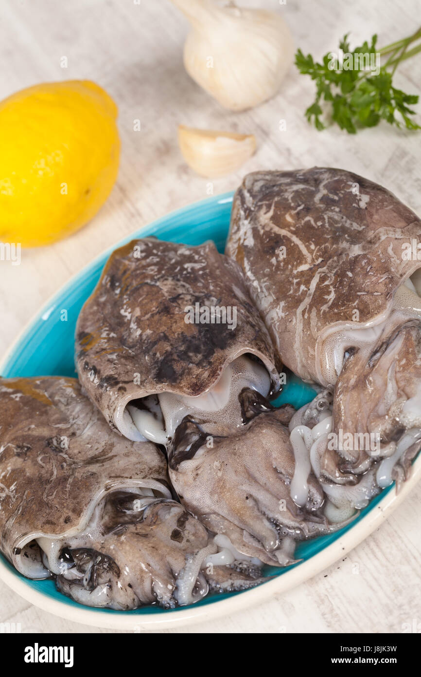 food, aliment, gastronomy, diet, octopus, squid, backdrop, background ...