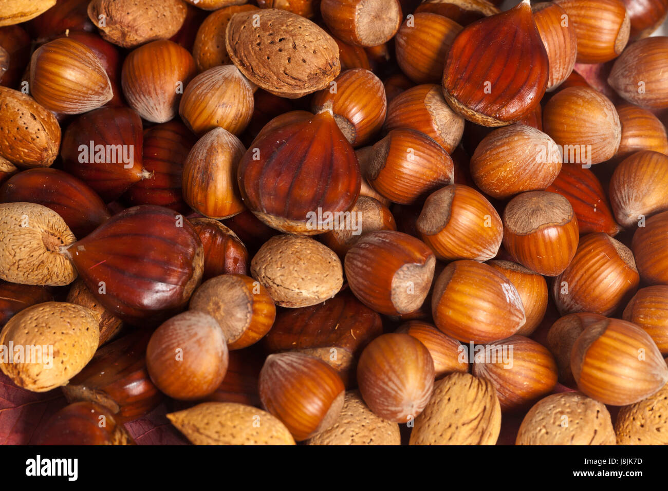 nuts, chestnuts, almond, assortment, backdrop, background, fall, autumn ...