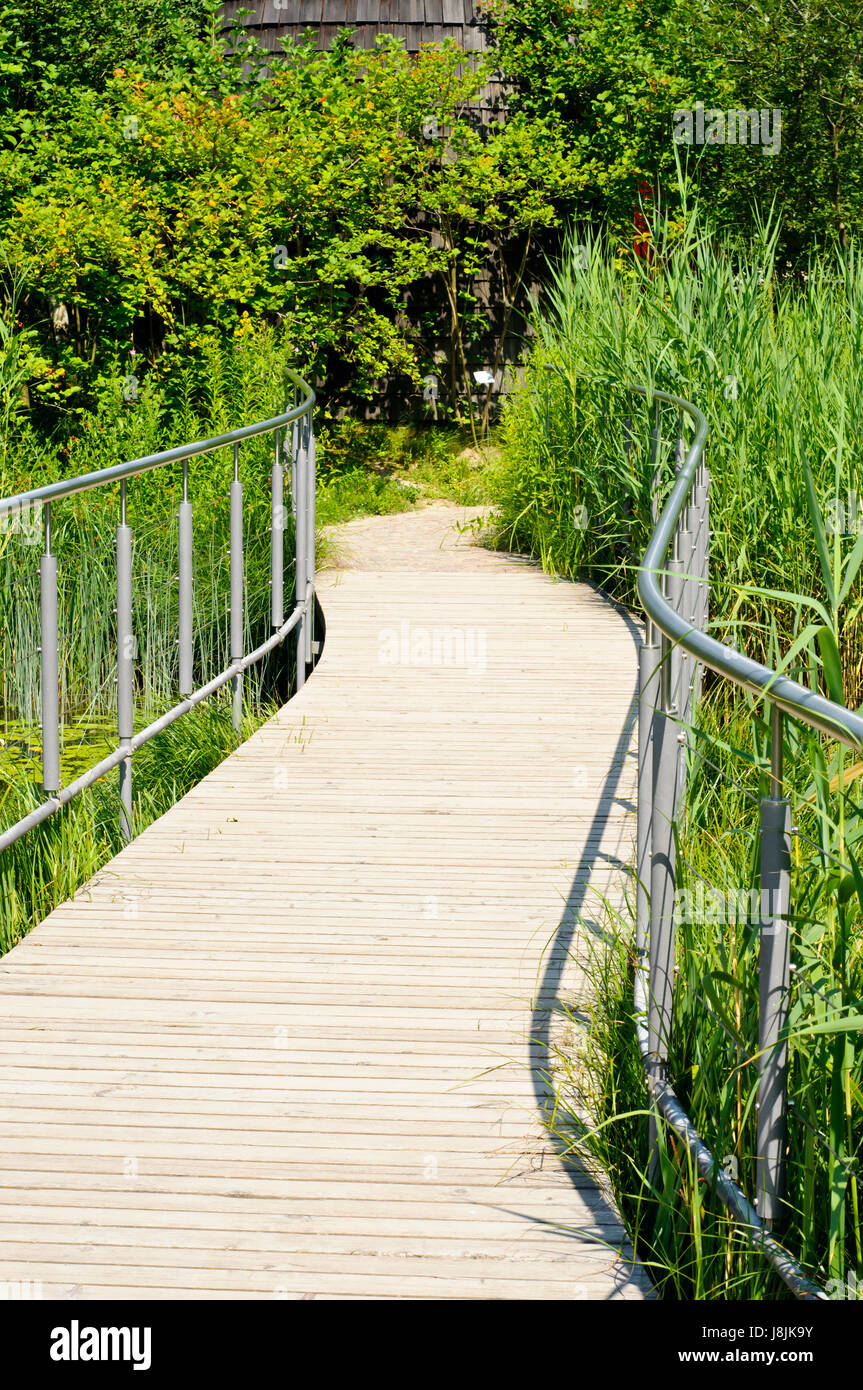 walkway, winding, boardwalk, path, way, pathway, walk, go, going ...