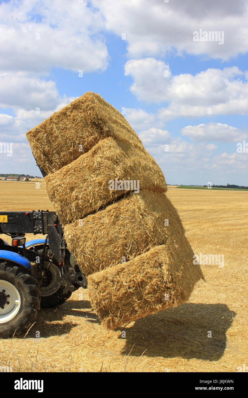 agriculture, farming, hay, haystack, truck, lorry, straw, closeup ...
