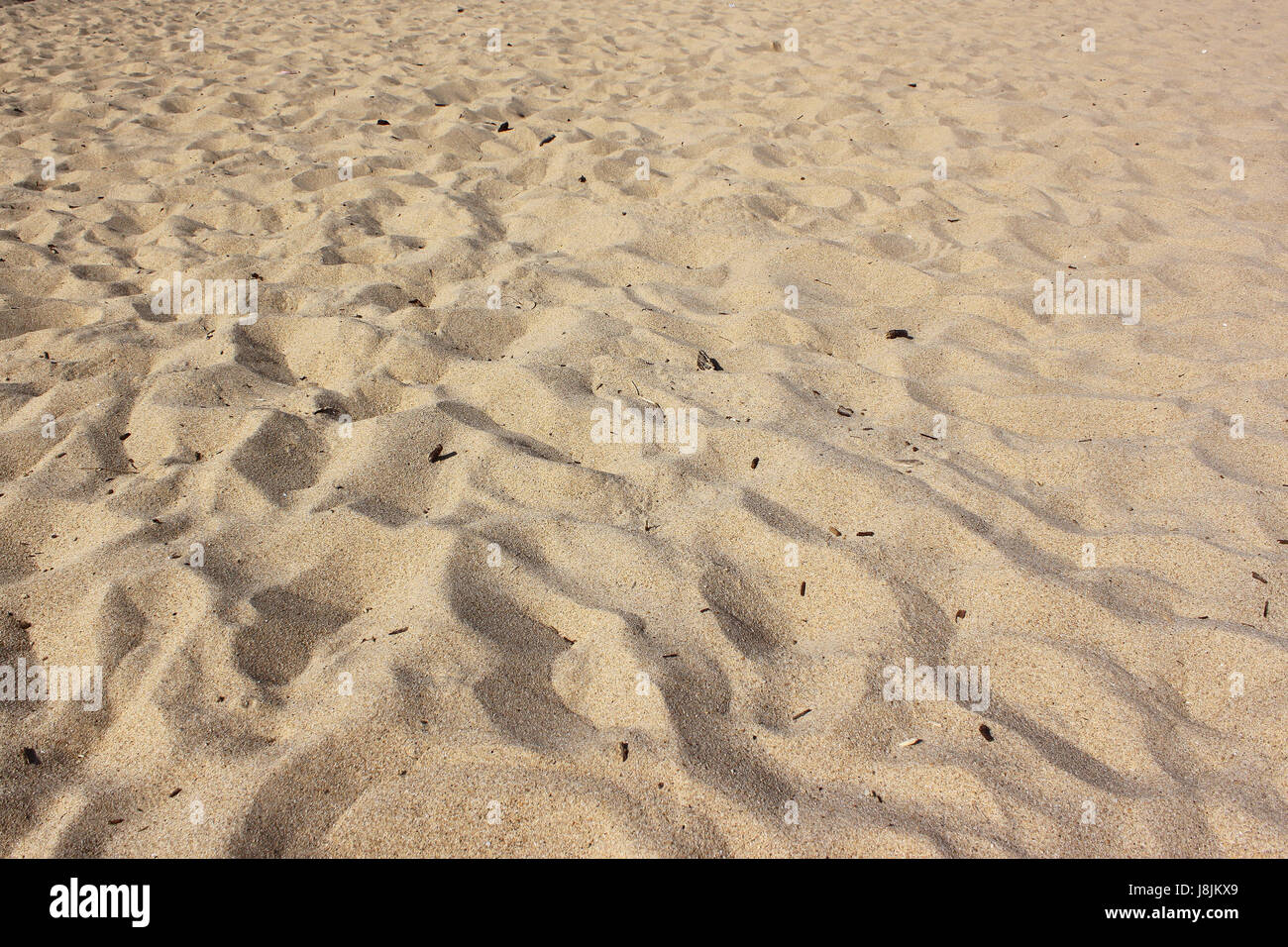 spare time, free time, leisure, leisure time, beach, seaside, the beach ...