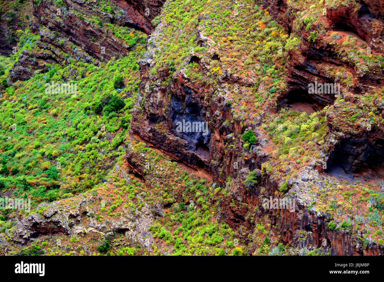 atlantic ocean, salt water, sea, ocean, water, canary islands, ravine ...