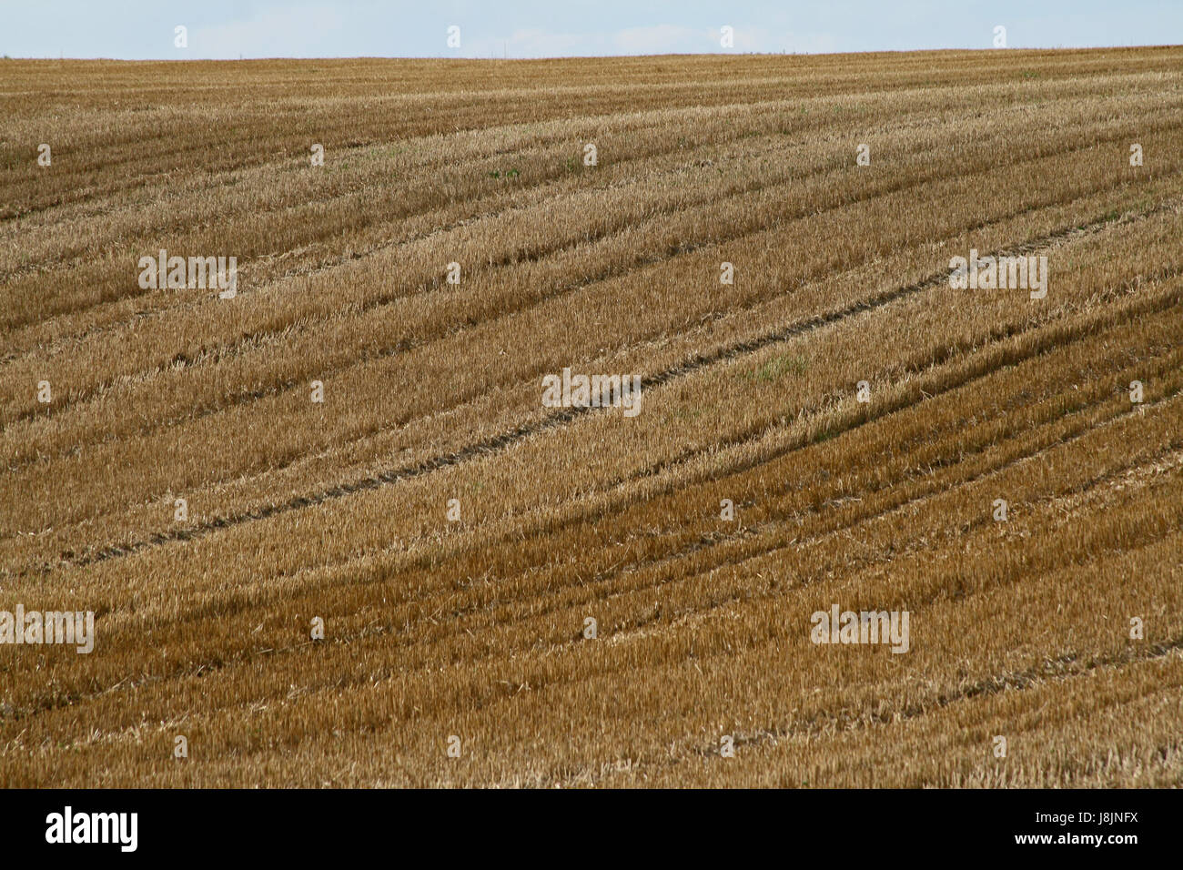 acre, stubble field, structures, furrows, fall, autumn, hesse, season ...