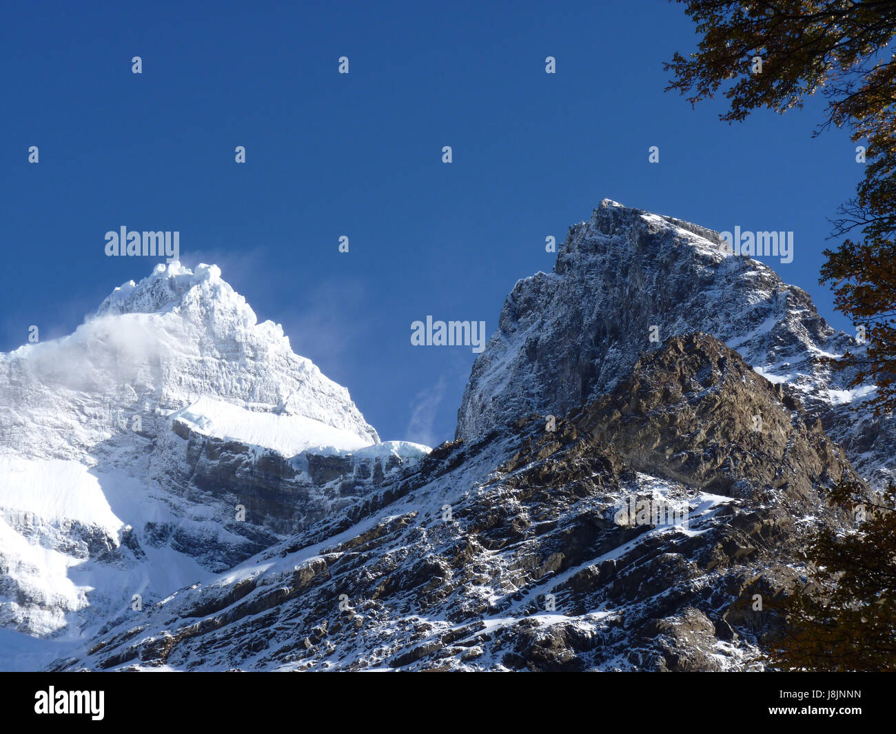 snow, coke, cocaine, material, drug, anaesthetic, addictive drug, del ...
