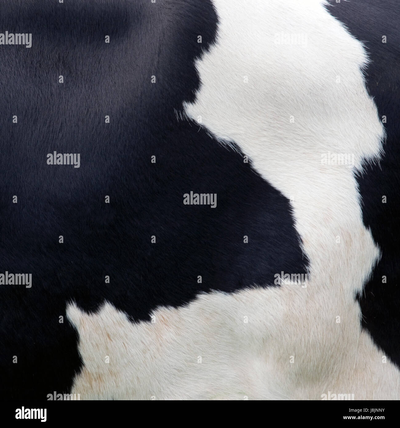 design, shaping, formation, shape, model, figure, structure, cowhide ...