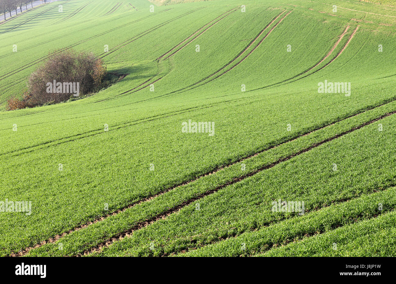 field lines iii Stock Photo - Alamy