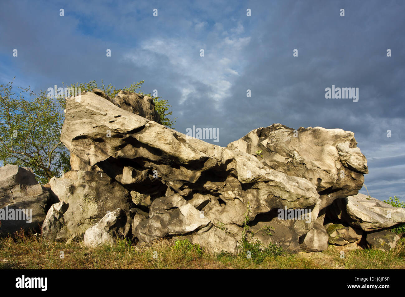 nature-sanctuary, worth seeing, devil, devils, wild, portrait ...