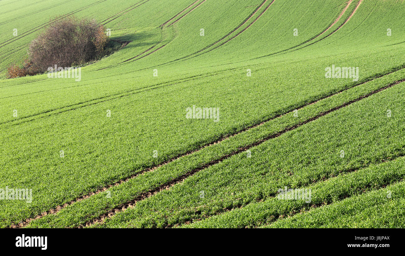 field lines iiia Stock Photo - Alamy