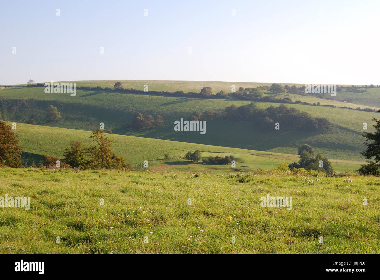 field, england, landscape, scenery, countryside, nature, meadow, grass ...