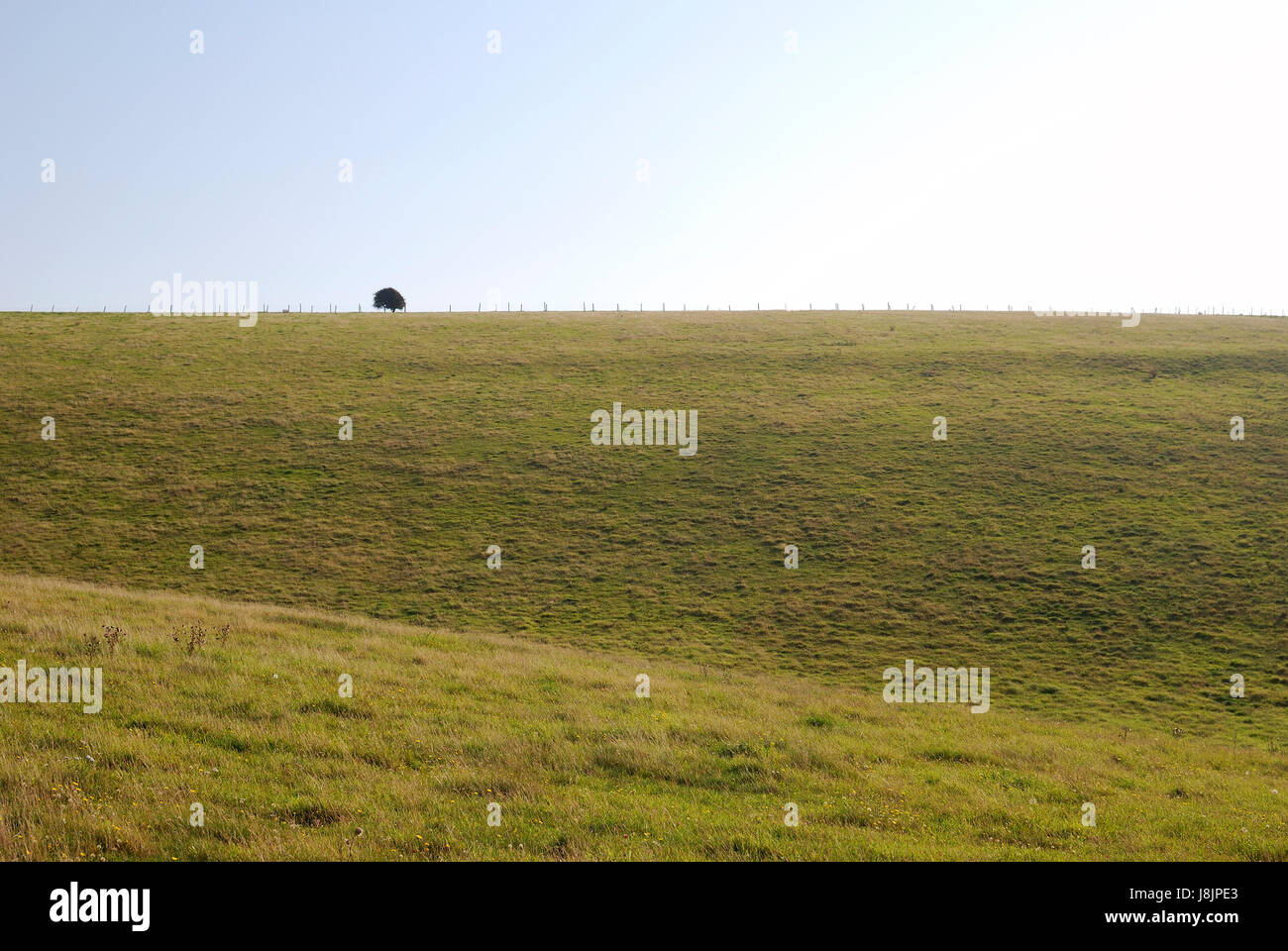 field, england, landscape, scenery, countryside, nature, meadow, grass ...
