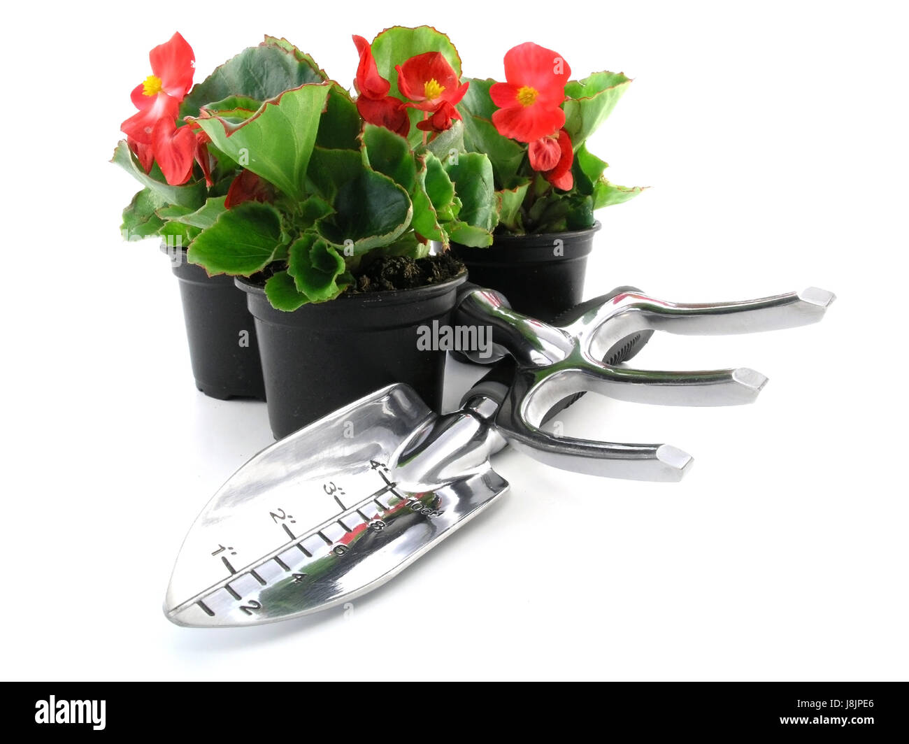 beautiful, beauteously, nice, leaf, tool, object, isolated, garden ...