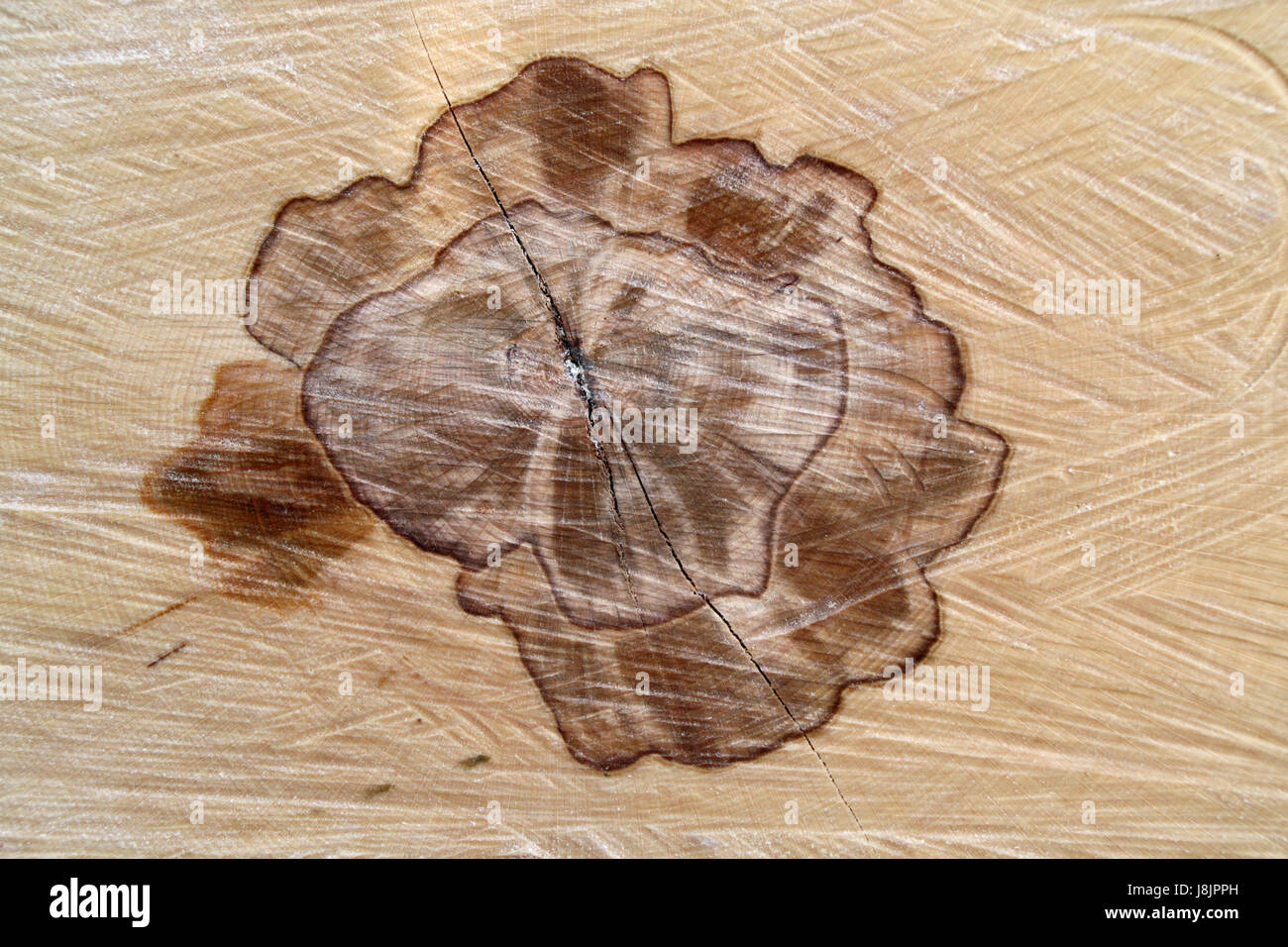 wood, resin, vein, firewood, woodpile, resin, rings, store, building ...