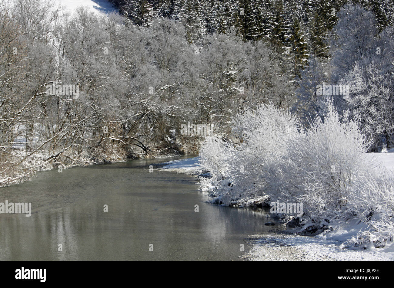 winter, ice, frozen, crystal, feather, beauty, nature, tree, mountains ...