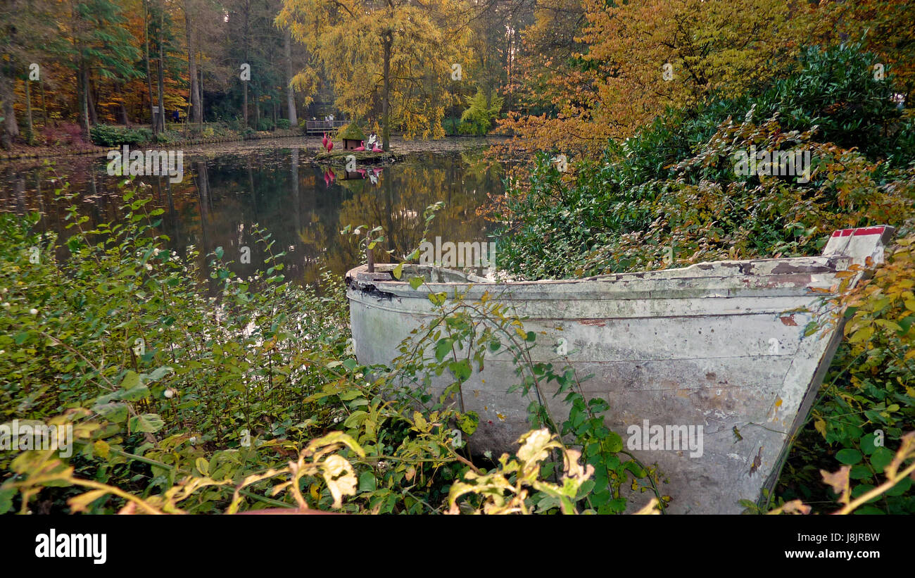 romantic, evening light, salt water, sea, ocean, water, rowing boat ...