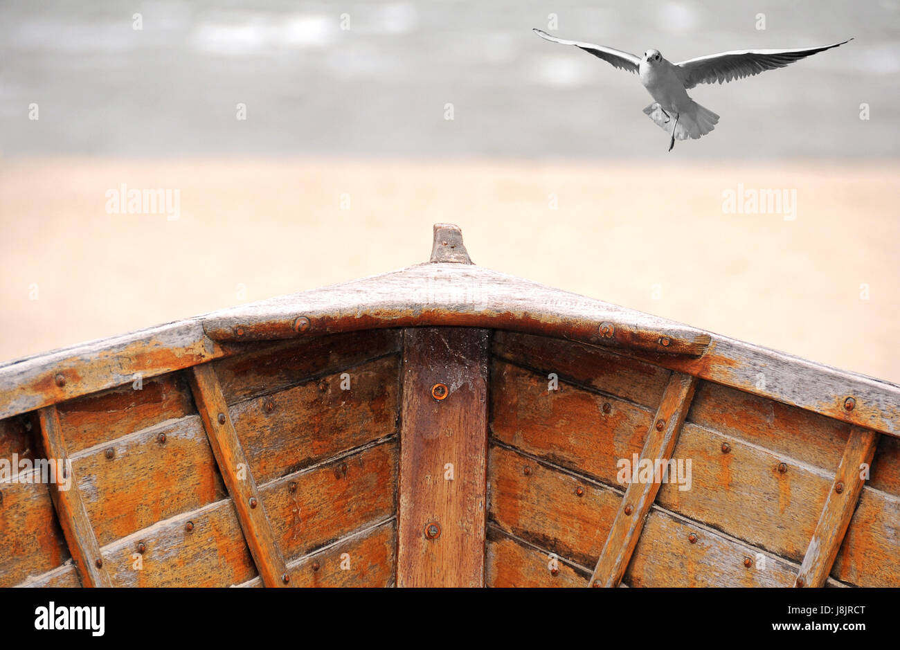 water, north sea, salt water, sea, ocean, baltic sea, still life, sands ...