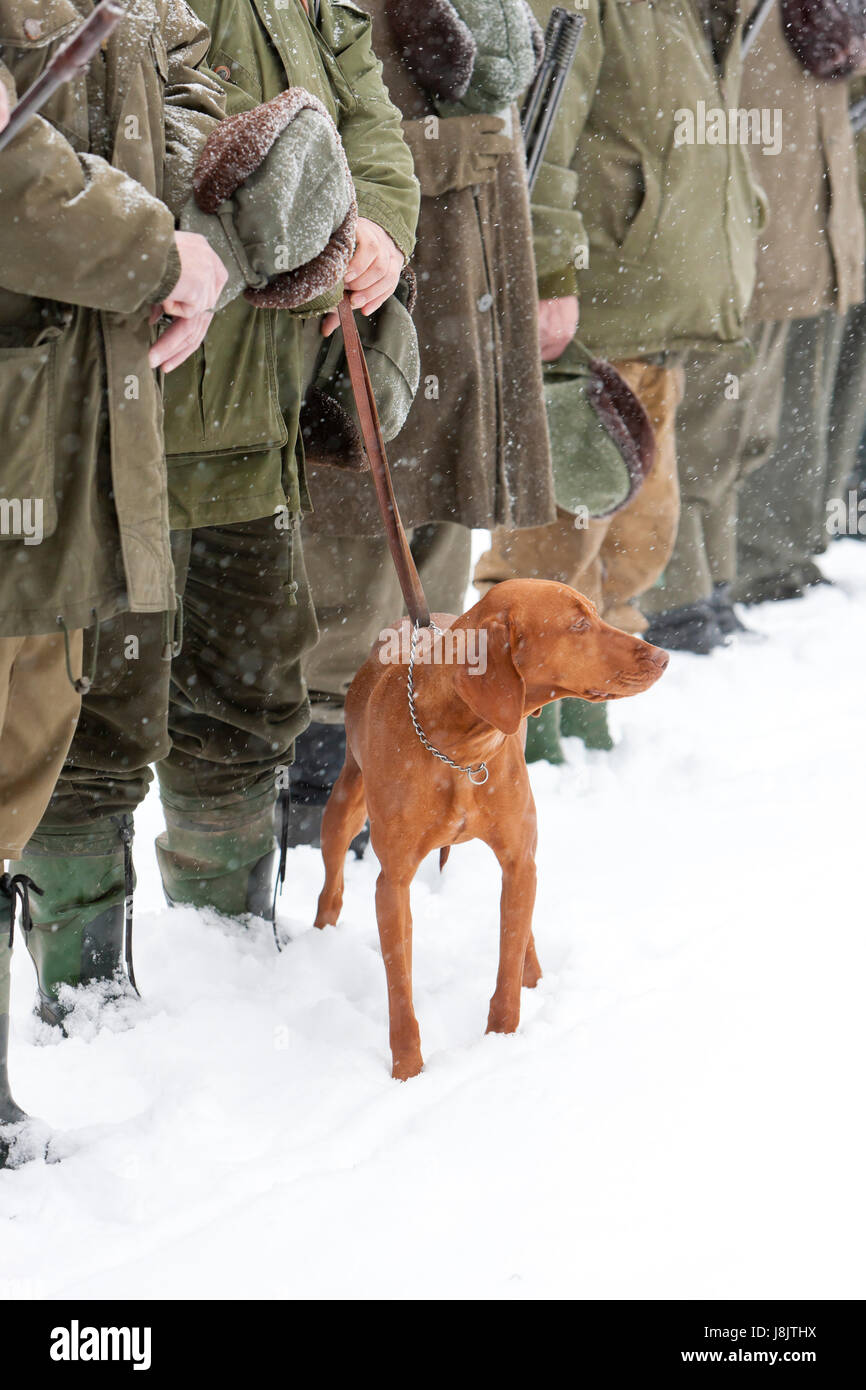 Dog chase man hi-res stock photography and images - Alamy