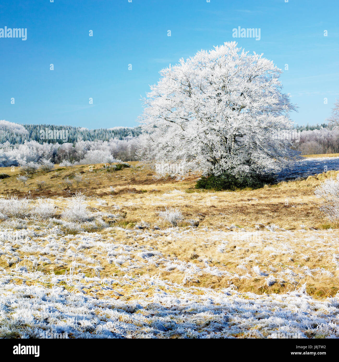 winter, snow, coke, cocaine, material, drug, anaesthetic, addictive ...