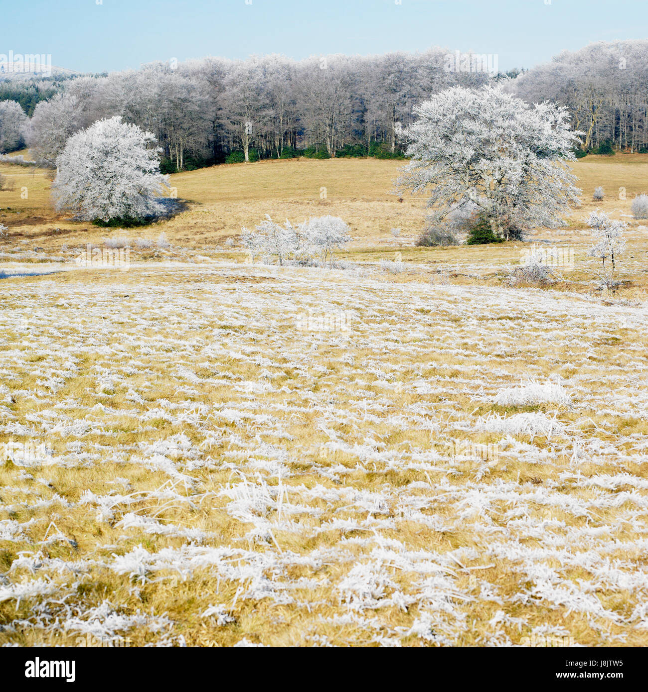 winter, snow, coke, cocaine, material, drug, anaesthetic, addictive ...