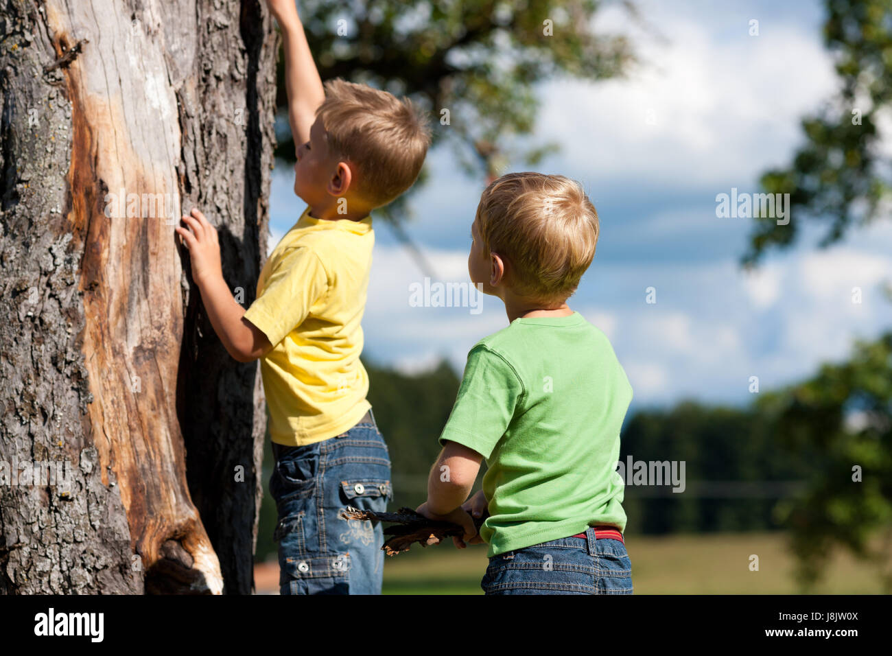 two boys climb a tree Stock Photo - Alamy