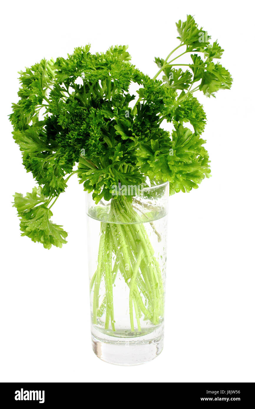parsley with water in glass Stock Photo - Alamy