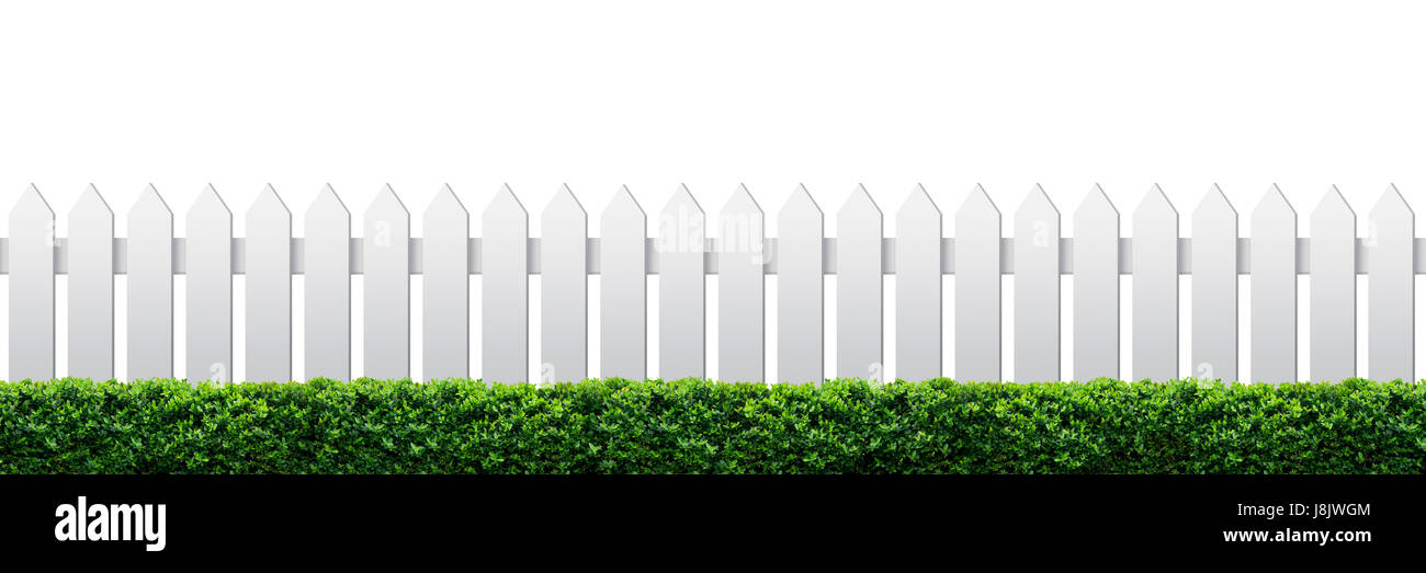 garden, bush, shrub, fence, fence in, fencing, lawn, green, plant ...