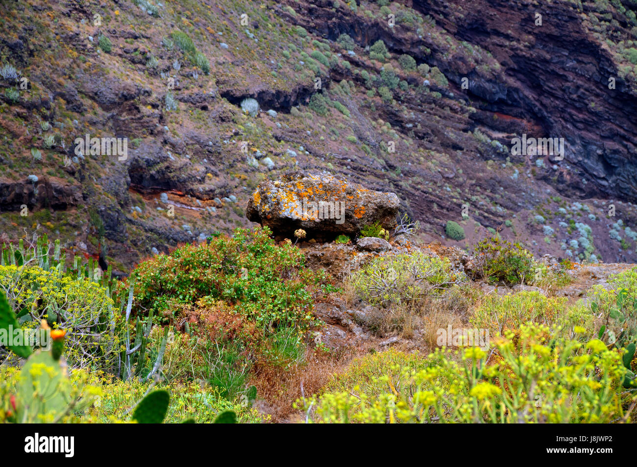 atlantic ocean, salt water, sea, ocean, water, canary islands, ravine ...