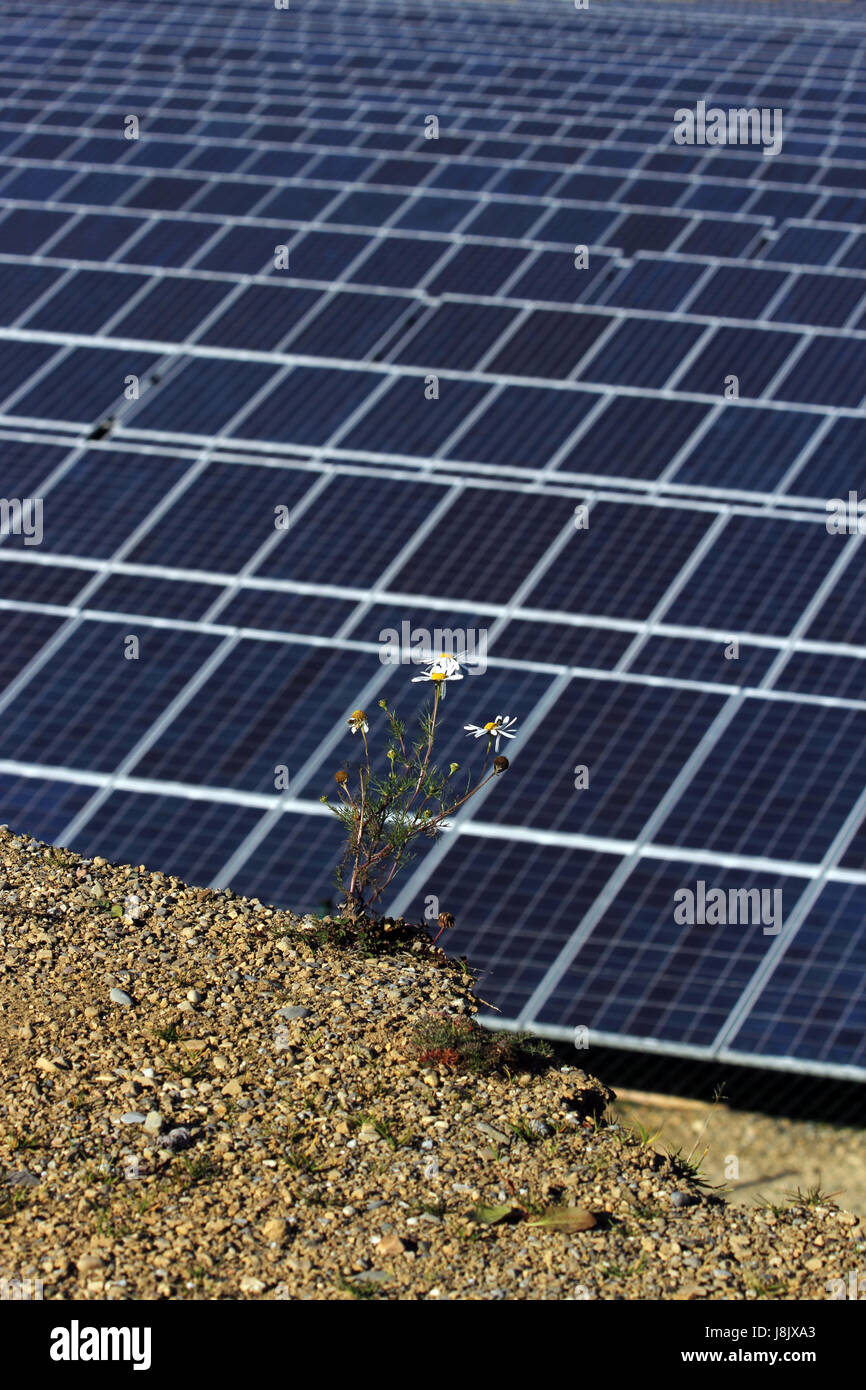 generation of electricity, energy, power, electricity, electric power ...