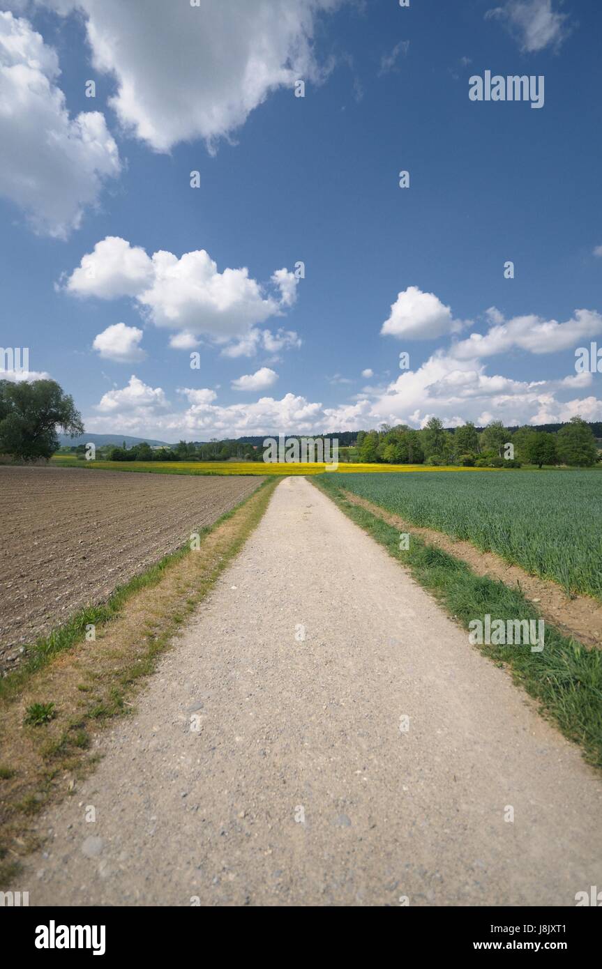 field, acre, firmament, sky, clouds, blue, field, acre, daisy ...