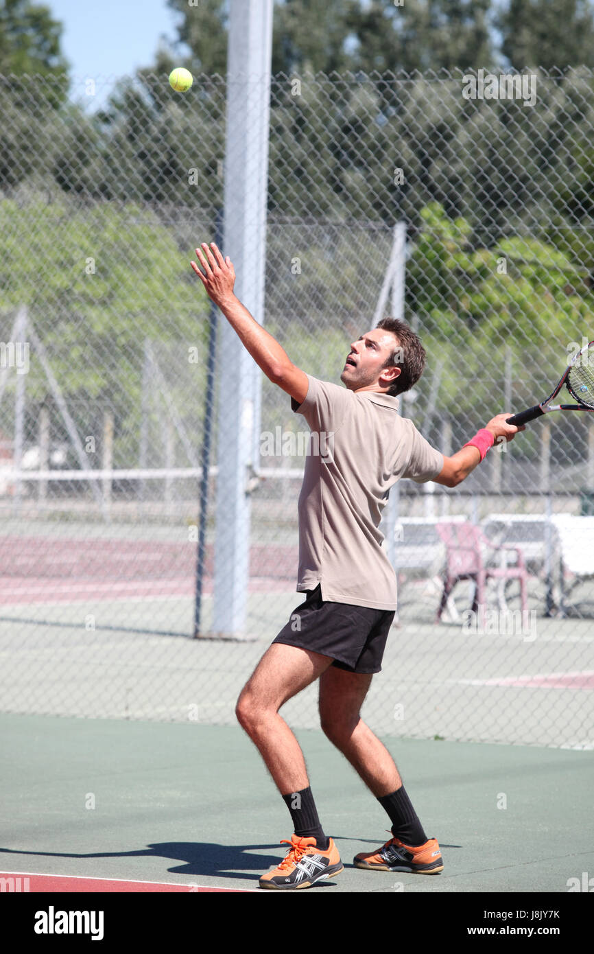 ball, standing, player, sport, tennis, serving, throwing, man, spare ...