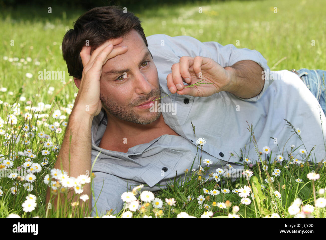 humans, human beings, people, folk, persons, human, human being, spare ...