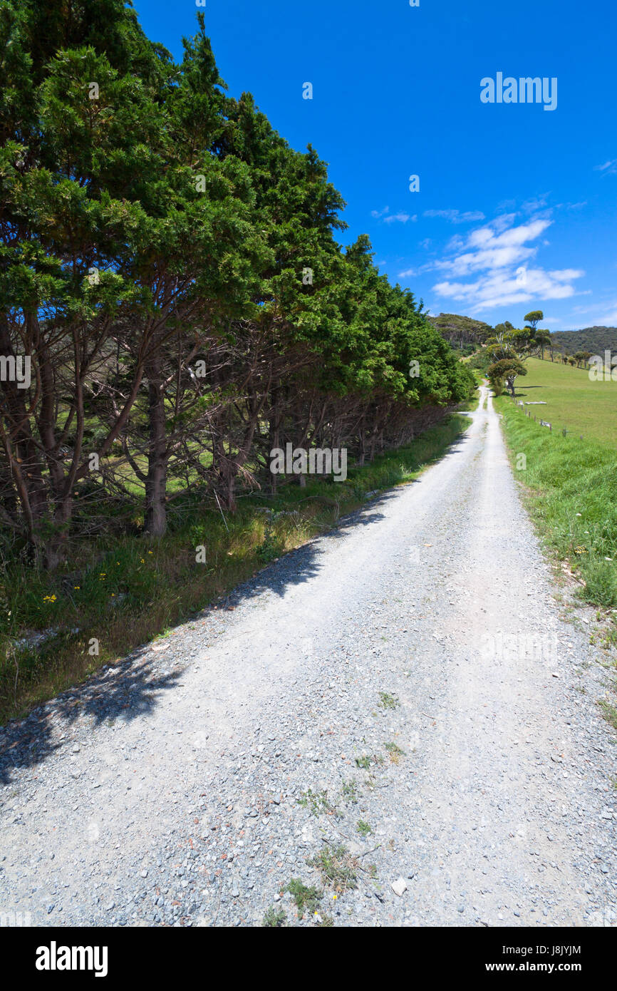 hiking, rocky, trail, trek, path, way, blue, walk, go, going, walking ...