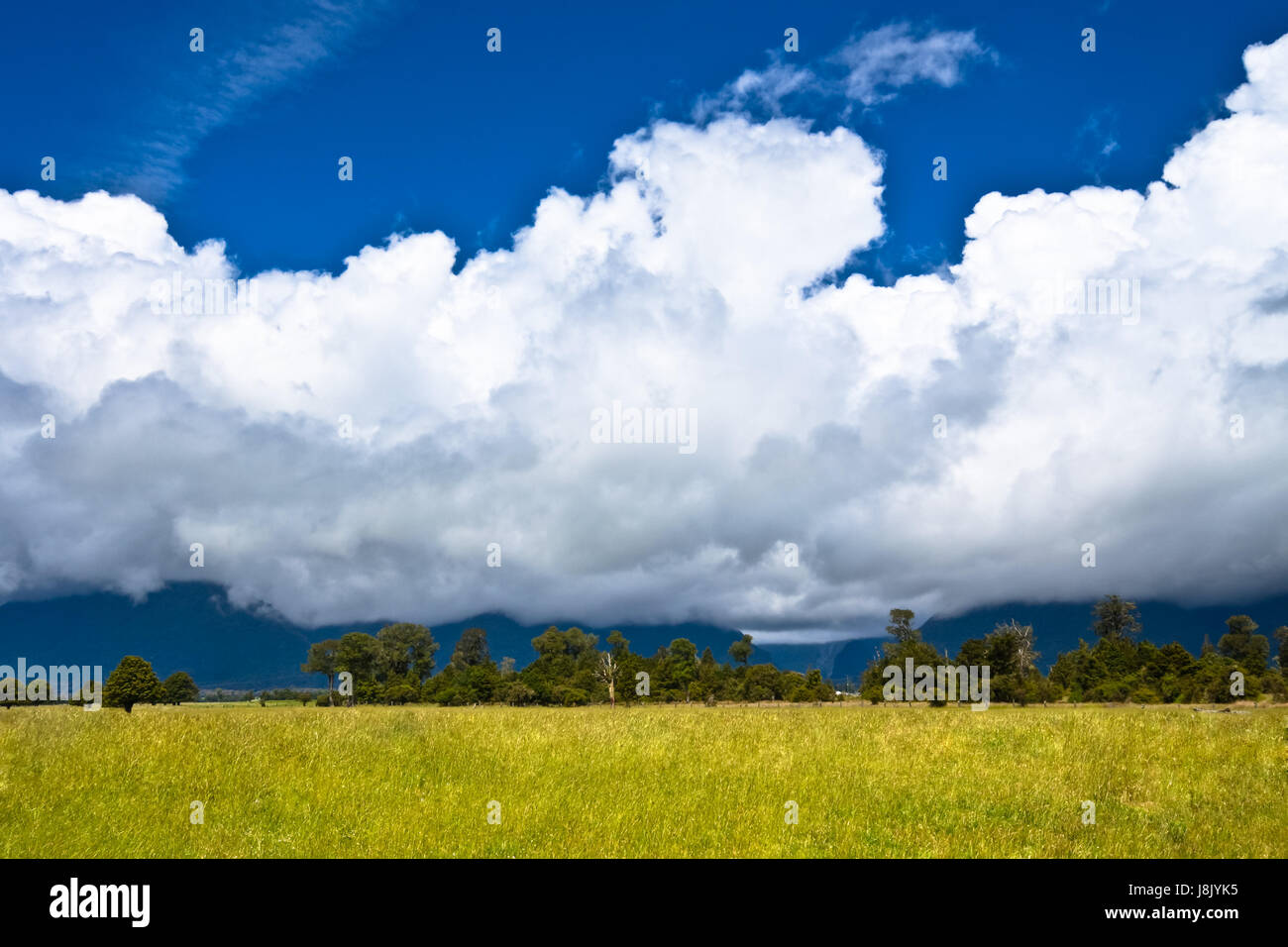 new zealand, meadow, scenery, countryside, nature, blue, beautiful ...