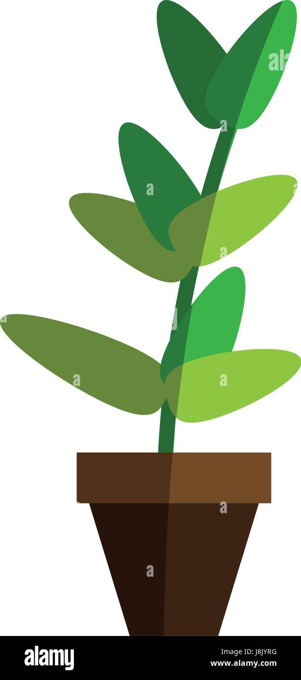 plant in pot icon image Stock Vector Image & Art - Alamy