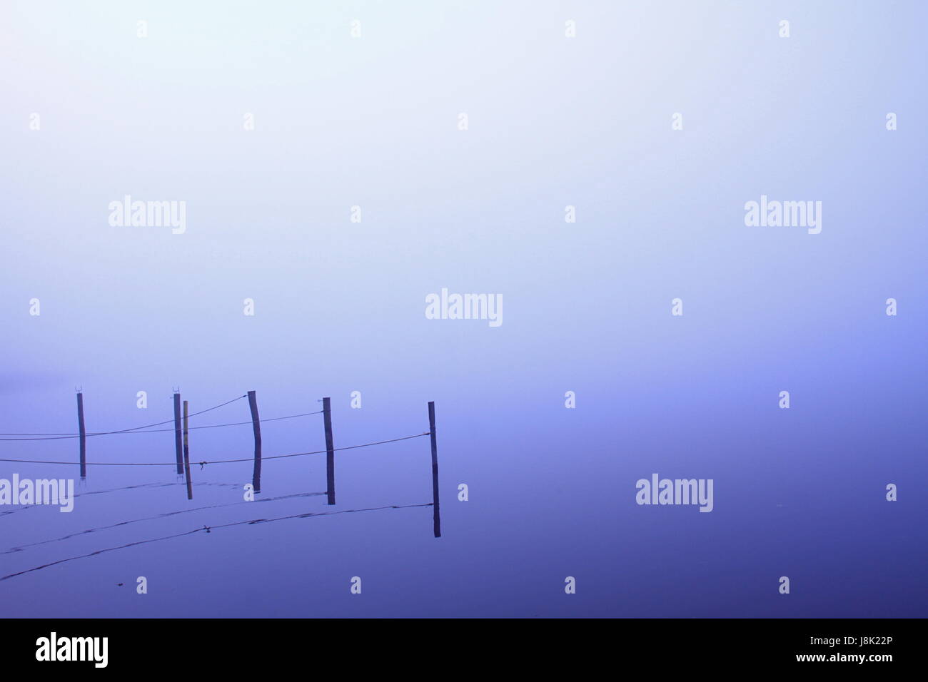 waters, fog, lakeside, fresh water, lake, inland water, water, scenery ...
