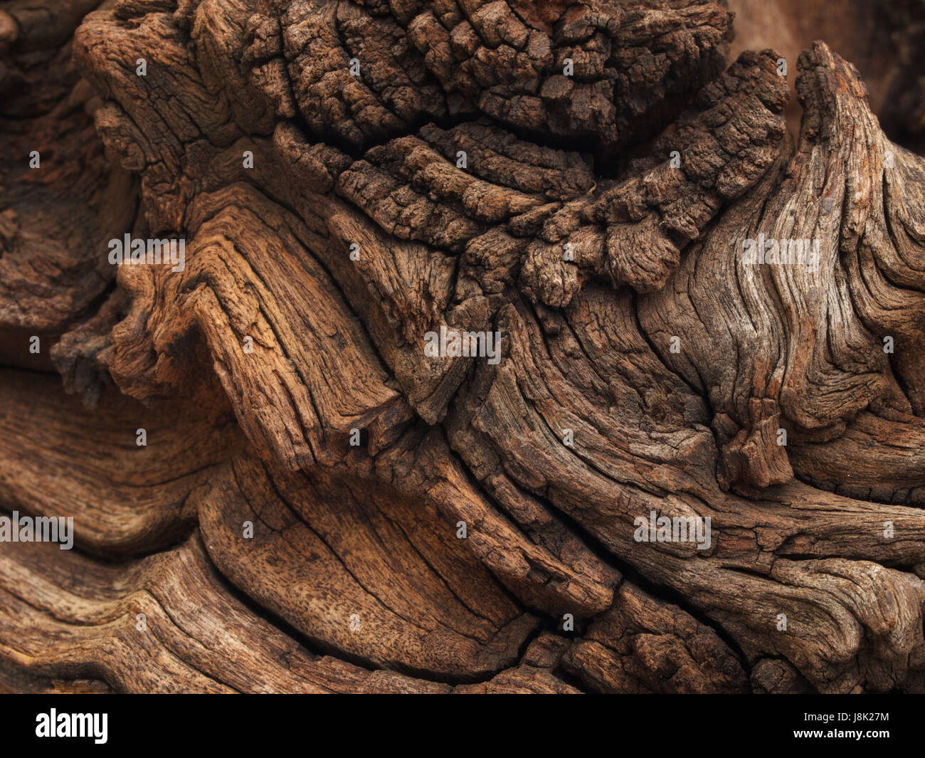Fissured wood hi-res stock photography and images - Alamy