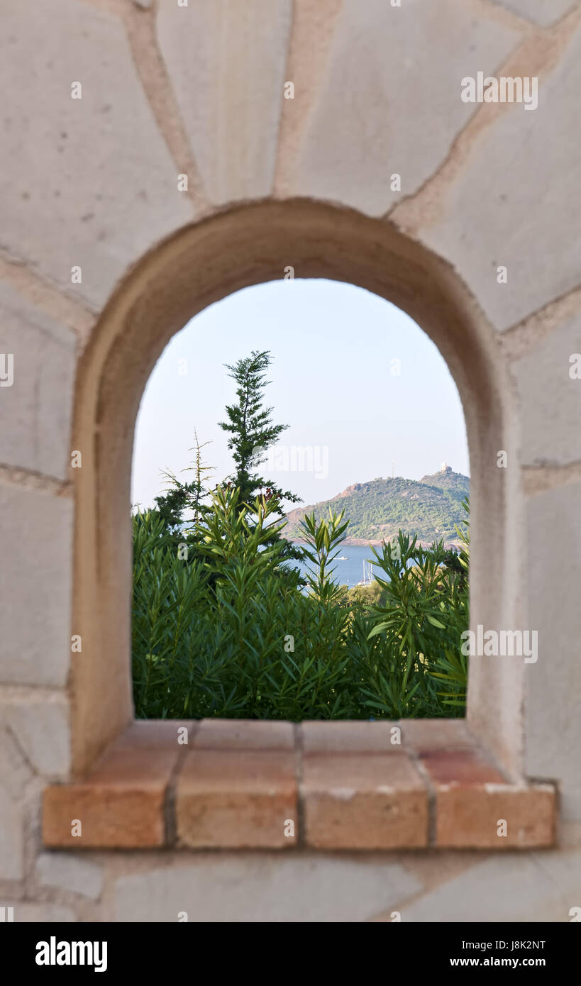 tree, trees, plant, window, porthole, dormer window, pane, wall, idea ...