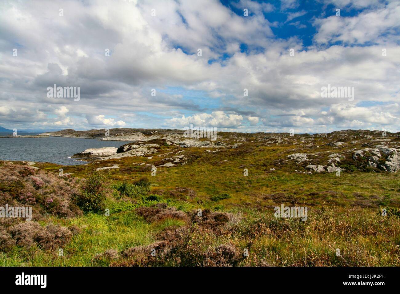 vegetation and landscape ryvarden sveio norway Stock Photo - Alamy
