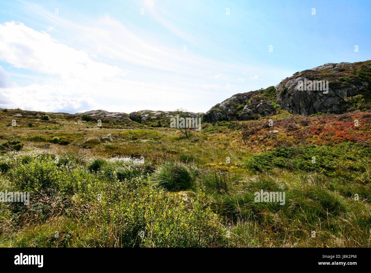 vegetation and landscape ryvarden sveio norway Stock Photo - Alamy