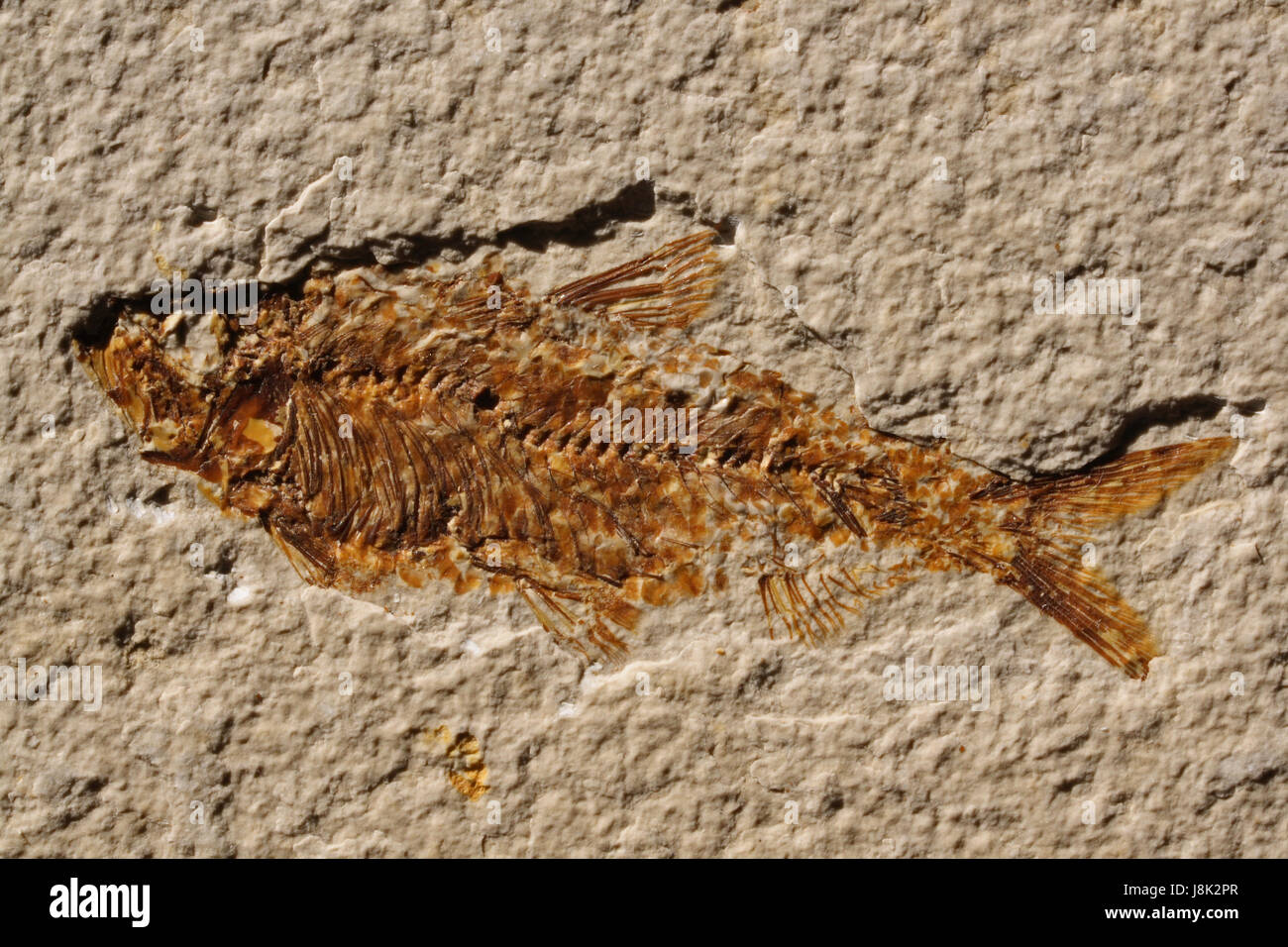 Geologic Record Stock Photos & Geologic Record Stock Images - Alamy
