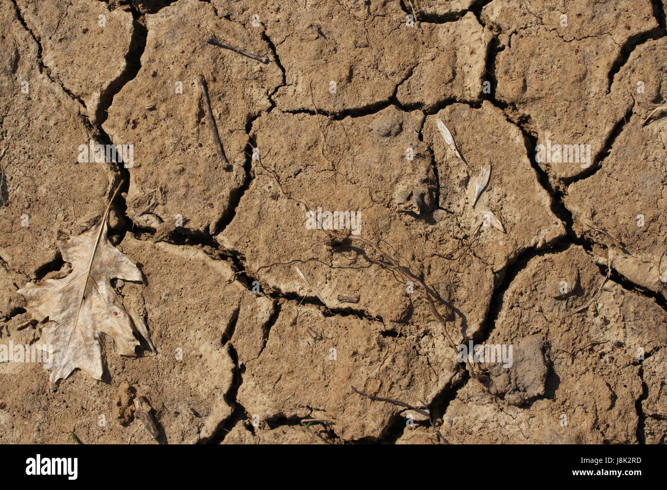 ground, soil, earth, humus, drought, dry, dried up, barren, crops ...