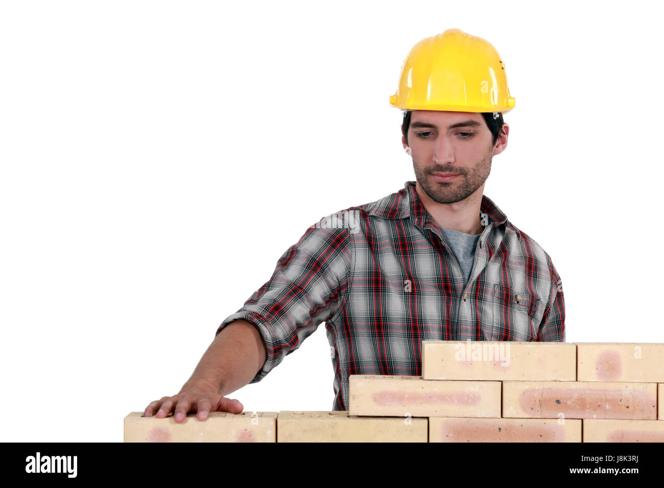 blank, european, caucasian, brick, cement, block, companion, bricks ...